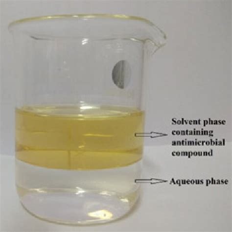 Ethyl Acetate Extraction Of Antibacterial Substrate From A L Apis Ymp3