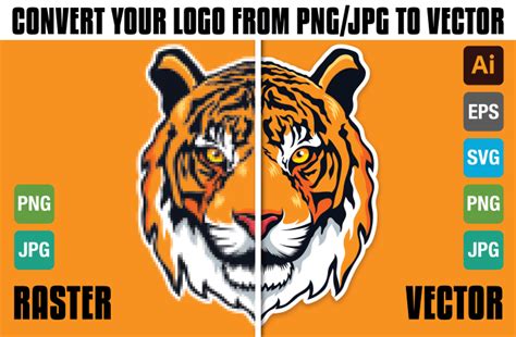 Do Png To Vector Image To Vector Raster To Vector Convert To Ai By Digitalgraphixs Fiverr