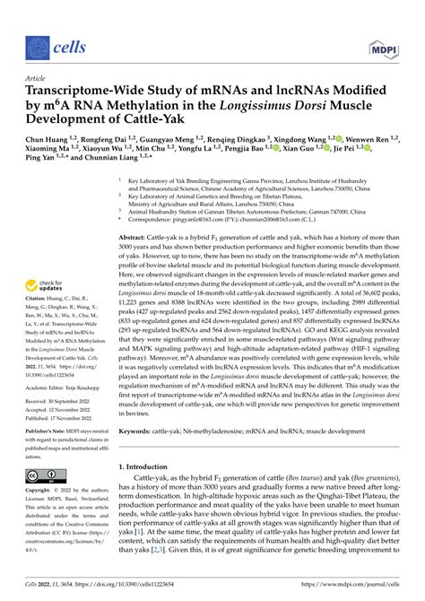 Pdf Transcriptome Wide Study Of Mrnas And Lncrnas Modified By M6a Rna