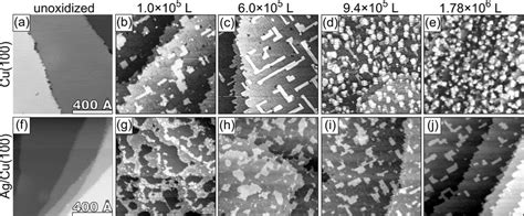 Series of CCT STM images Å showing the time evolution of Download Scientific
