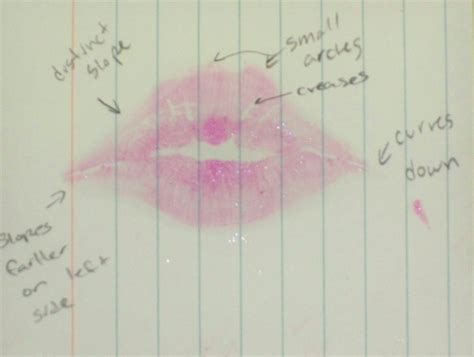 Forensics Lip Print Analysis