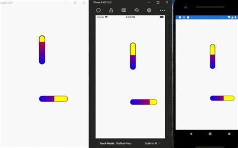 Porting Ios Control To Xamarinios And Then To Xamarinforms With Skiasharp Serengeti