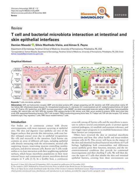 PDF T Cell And Bacterial Microbiota Interaction At Intestinal And Skin Epithelial Interfaces