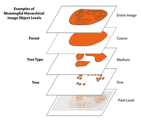 Level Hierarchy Ecognition Knowledge Base