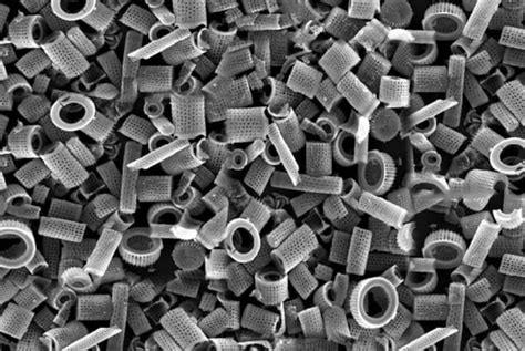 How To Successfully Treat A Clostridium Difficile Infection Self