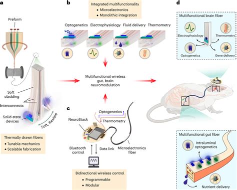 Schematic Illustration Of Microelectronics Integrated Multifunctional Download Scientific