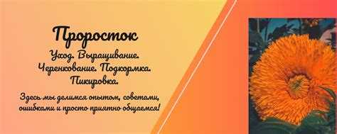 Проросток 2025 ВКонтакте