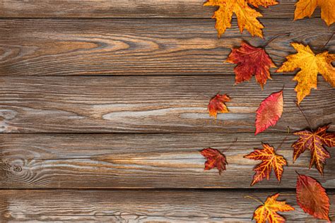 가을과 추수 감사절 배경은 소박한 나무 배경에 가을 마른 잎으로 만들어졌습니다 평평한 위치 복사 공간이 있는 평면도 10월에 대한 스톡 사진 및 기타 이미지 Istock