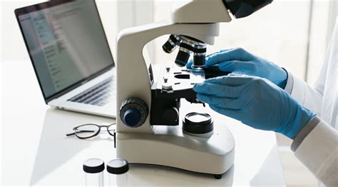 과학자 미생물학자 또는 실험실에서 현미경을 사용하는 학생 의료 테스트 및 연구 클로즈업 Dna에 대한 스톡 사진 및 기타 이미지 Istock