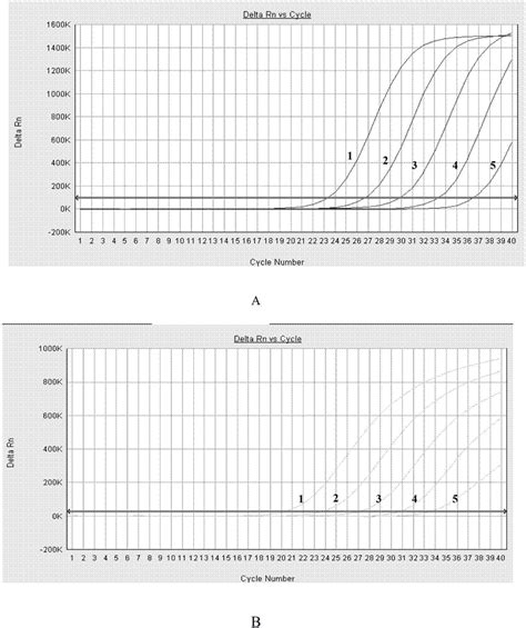 Multiple Fluorescence Pcr Detection Kit And Detection Method For Clostridium Difficile Toxin