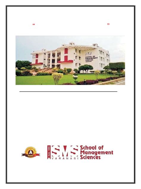 Survey Report Writing Layout Pdf Methodology Science