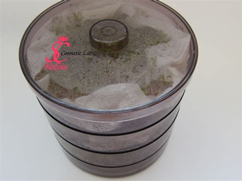 From Sprout To Extract Why Extracting Sprouts Part I Swettis Beauty Blog