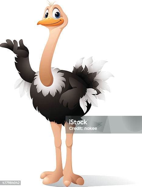 นกกระจอกเทศการ์ตูน ภาพประกอบสต็อก ดาวน์โหลดรูปภาพตอนนี้ นกกระจอกเทศ การ์ตูน ผลิตภัณฑ์