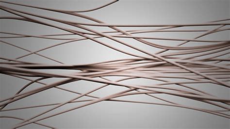 synthetic morphologies more on bundling