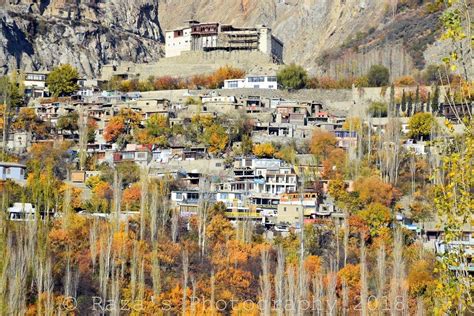 Asif Raza Insearch Pk