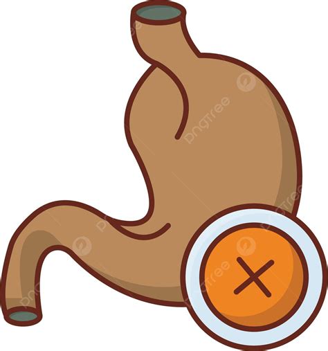 Hình ảnh Giải Phẫu Bệnh Dạ Dày Xấu Vectơ PNG Dạ Dày Bị ốm Giải Phẫu Học PNG và Vector với