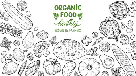 유기농 식품 세트 건강 식품 프레임 벡터 일러스트 레이 션 야채 과일 고기 스케치 손으로 그린 벡터 그림입니다 개념에 대한 스톡 벡터 아트 및 기타 이미지 Istock