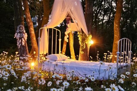 6월까지 만날 수 있는 샤스타데이지와 차 한잔 6월 가볼 만한 샤스타데이지 감성 카페 2곳