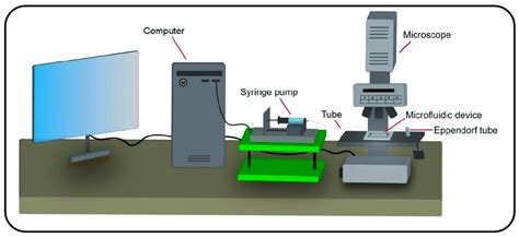 A Microfluidic Device Which Is Bonded To A Glass Slide And Contains