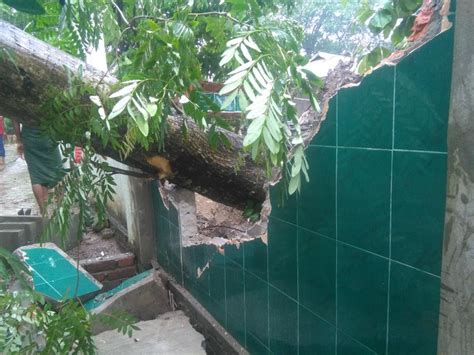 မိုးသက်လေပြင်းတိုက်ခတ်မှုကြောင့် စာသင်ကျောင်းအုတ်တံတိုင်းပေါ် သစ်ပင်ပြိုလဲကျမှု ဖြစ်ပွား