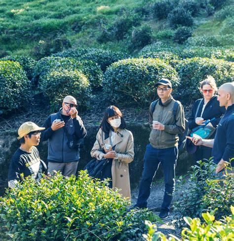 政所茶 ROOTS OF JAPAN 永源寺エリア日本の原風景を訪ねて