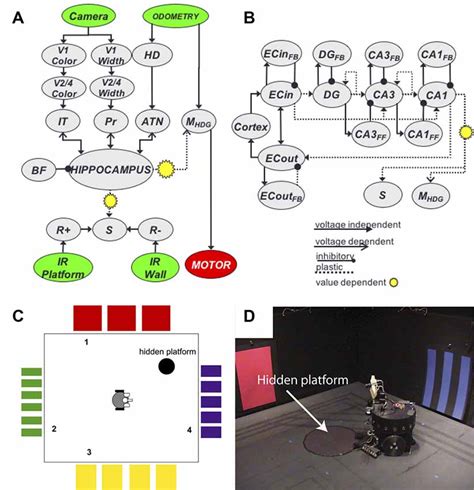 Frontiers Neurorobotics—a Thriving Community And A Promising Pathway Toward Intelligent