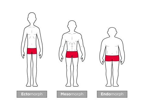 How To Dress As A Skinny Guy Style Tips For Thin Body Type Atelier Yuwaciaojp