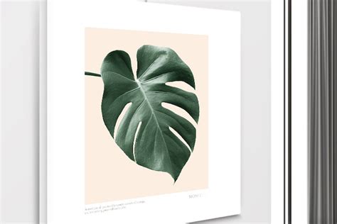 그림·사진 북유럽 두꺼비집가리개 배전함 분전함 커버 58monstera B 오늘의집 쇼핑