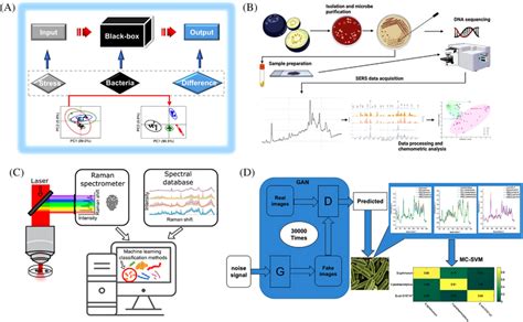 Different Data Processing Techniques Cited Within This Review A Download Scientific Diagram