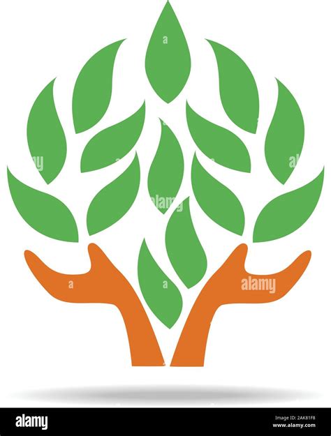 Tree Design Graphic Icon Template White Background Vector Stock Vector Image Art Alamy