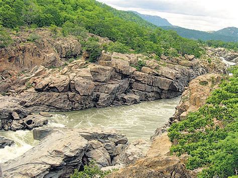 Mekedatu Govt Yet To Seek Forest Clearance Survey