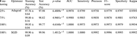 The Performance Results With Augmentations And 5 Fold Cross Validation