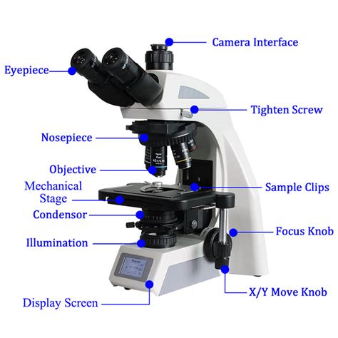 Bl 620t 40x~1000x Laboratory Microscope Biological Laboratory