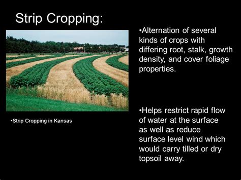 Strip Cropping Diagram