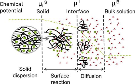 Schematic Picture Of Dissolution Process Of Solid Dispersions µ I S