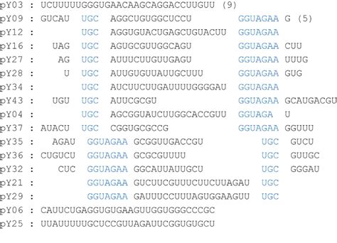 Nucleotide Sequences In The Random Region Of The Rna Subunit From The Download Scientific
