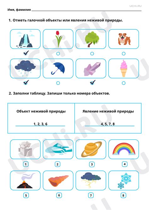 📒 Заметка для учителя “Явления и объекты неживой природы Ответы” для 1 класса Учи ру