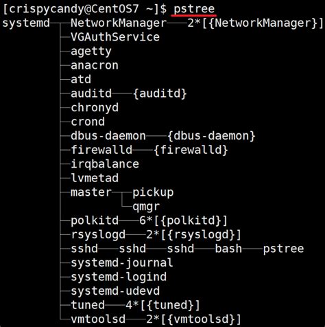 linux进程进程介绍 进程查看指令 查看父进程 linux进程树 CrispyCandy 博客园