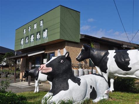 岡太楼本舗食べる買う三宅島観光協会