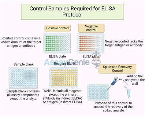 Control Samples Required For Elisa Protocol Assay Genie