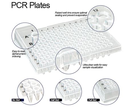 PCR Plates Globe MG Scientific