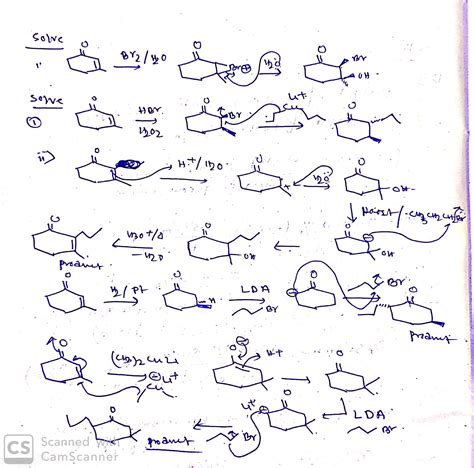 [solved] Predict Reagents Course Hero