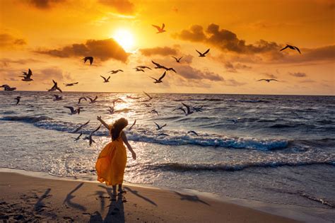 아름 다운 하늘과 함께 일출의 바다 풍경 해변에 여자 여름철 공중에 손을 얹은 젊고 행복한 여자가 주황색 드레스를 입고 해변을 걷고 있습니다 해변을 날아 다니는 갈매기
