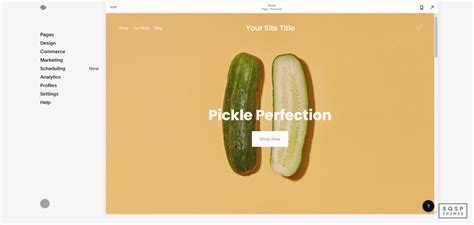 Guide The Step By Step Squarespace Setup Tutorial For Beginners Sqspthemes