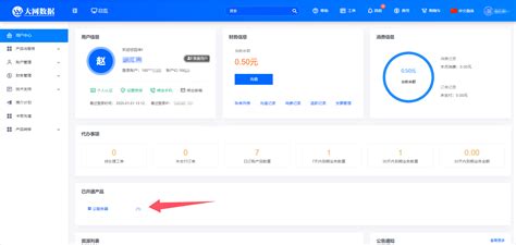 大网数据vnc功能如何使用 大网数据