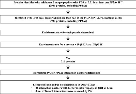 Determination Of Interaction Partners Of Pp2ac In Hskm Cells Download Scientific Diagram