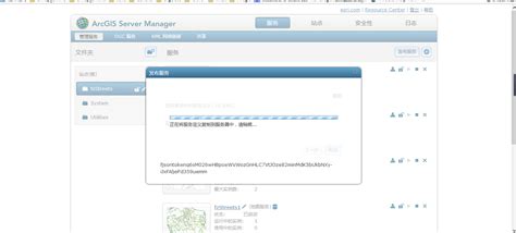 arcgis 通过web发布图层，服务启动失败，不显示图层等问题 arcgis web地图转换警告 csdn博客