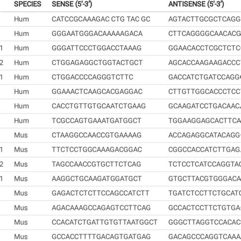 Primers Used For Real Time Polymerase Chain Reaction Pcr Download Scientific Diagram