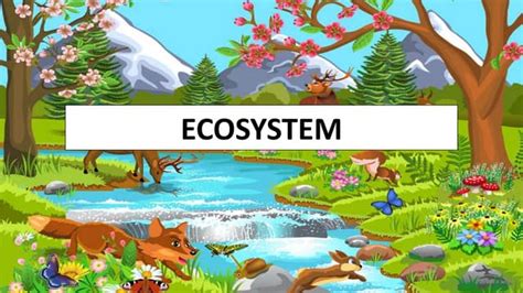 Ecosystem Final Pptx Weather Science