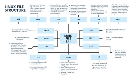 Aws Community 𝐓𝐡𝐞 𝐋𝐢𝐧𝐮𝐱 𝐅𝐢𝐥𝐞 𝐒𝐲𝐬𝐭𝐞𝐦 𝐒𝐭𝐫𝐮𝐜𝐭𝐮𝐫𝐞